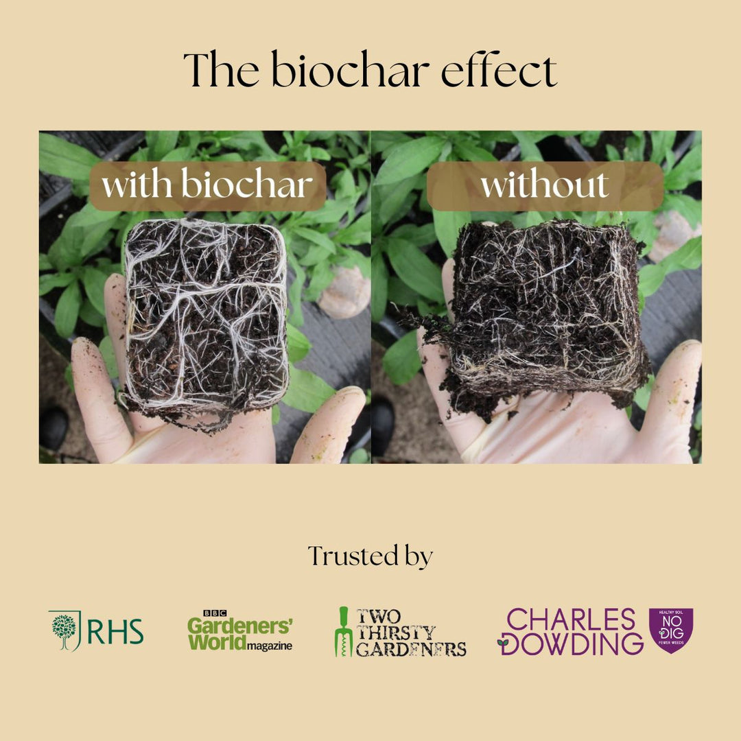 Buy biochar UK | Biochar + inoculant powder | Earthly Biochar