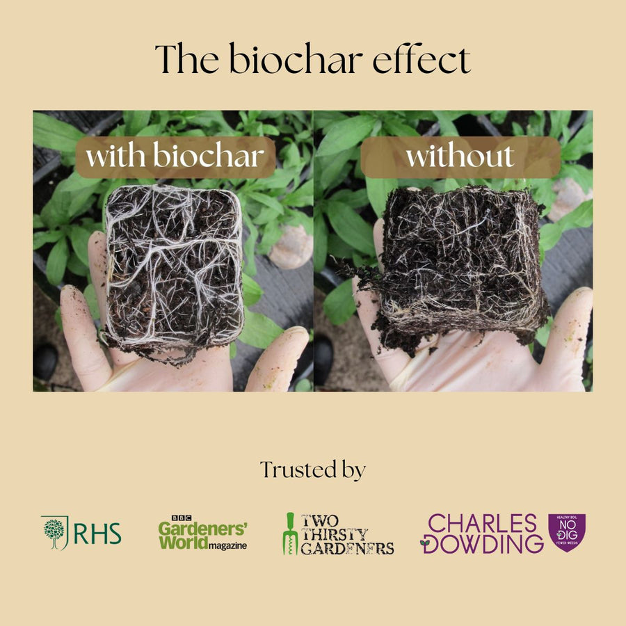 Buy biochar UK | Biochar + inoculant powder | Earthly Biochar